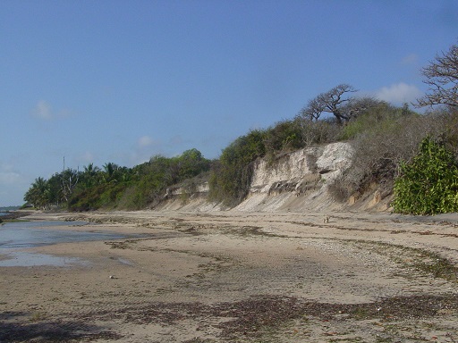 Significance of Chibuene in African History – Chibuene Vilankulo